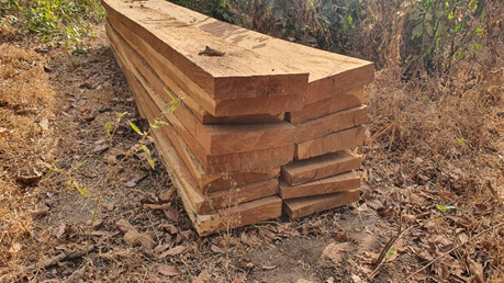 Deforestation Destroys Upper Tambaka Chiefdom - The Times Sierra Leone